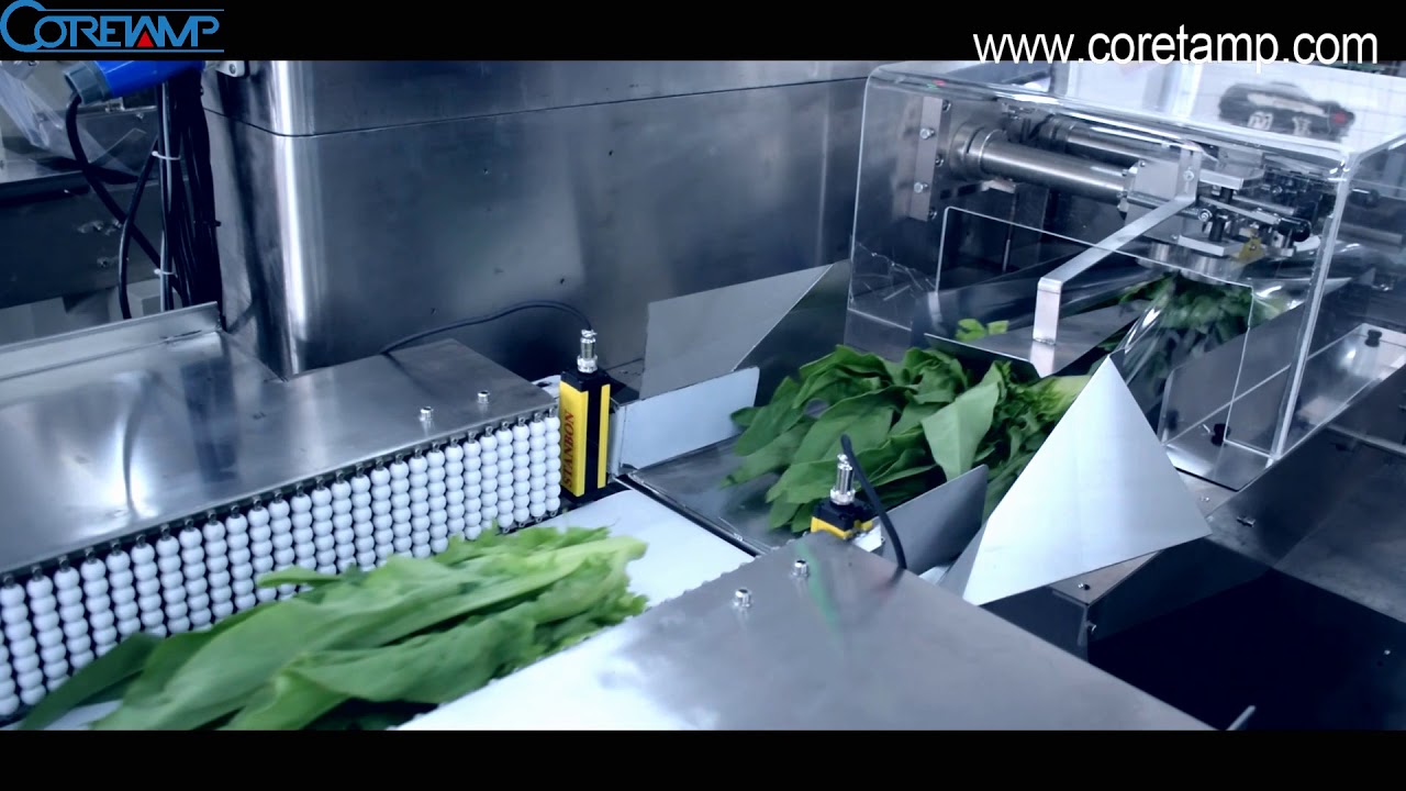 Leafy vegetable flow packing machine - YouTube