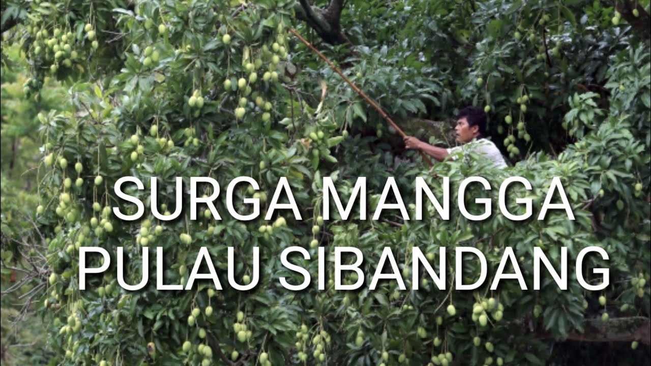 MUARA-PULAU SIBANDANG - The paradise of the island of Sibandang - YouTube