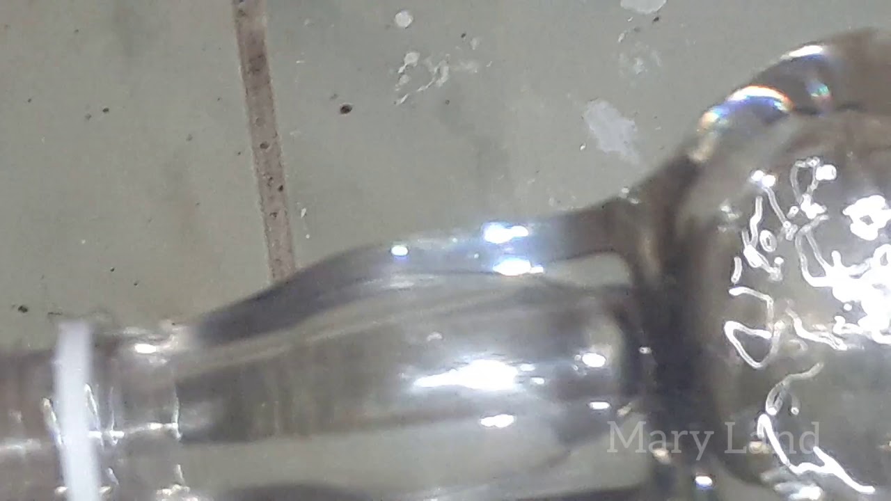 Creepy Forty Leg/ Centipede - YouTube