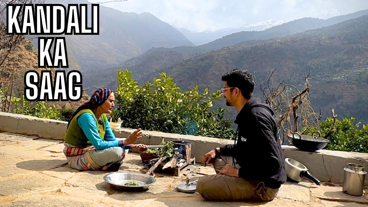 The taste of pahadi food | Kandali ka saag | कंडाली का साग ...