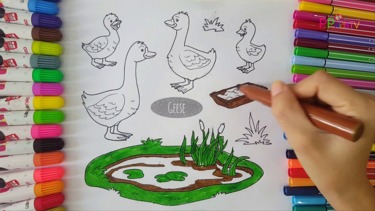 Learn coloring animals for kids - Coloring videos for kids 15 - YouTube