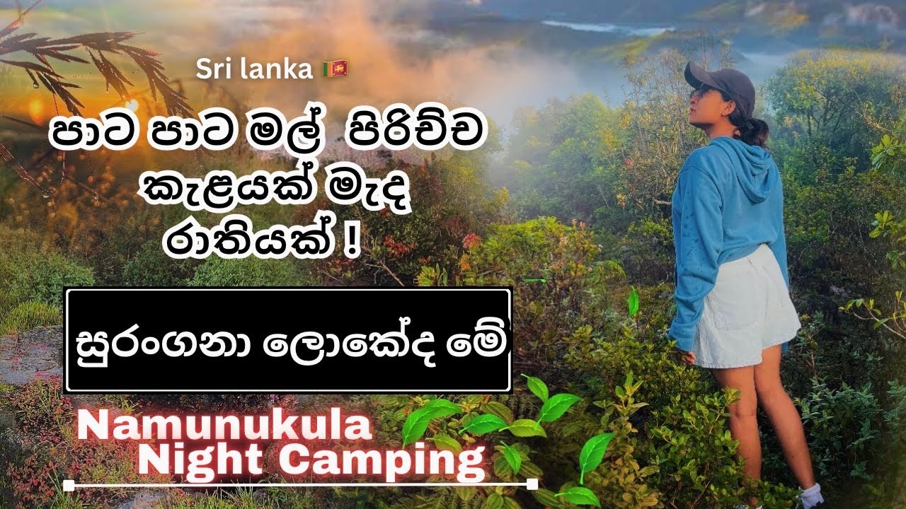 වැස්සට හැඩවුණු දෙවියන්ගෙ අඩවිය | Namunukula camping | nadee jayarathne - YouTube