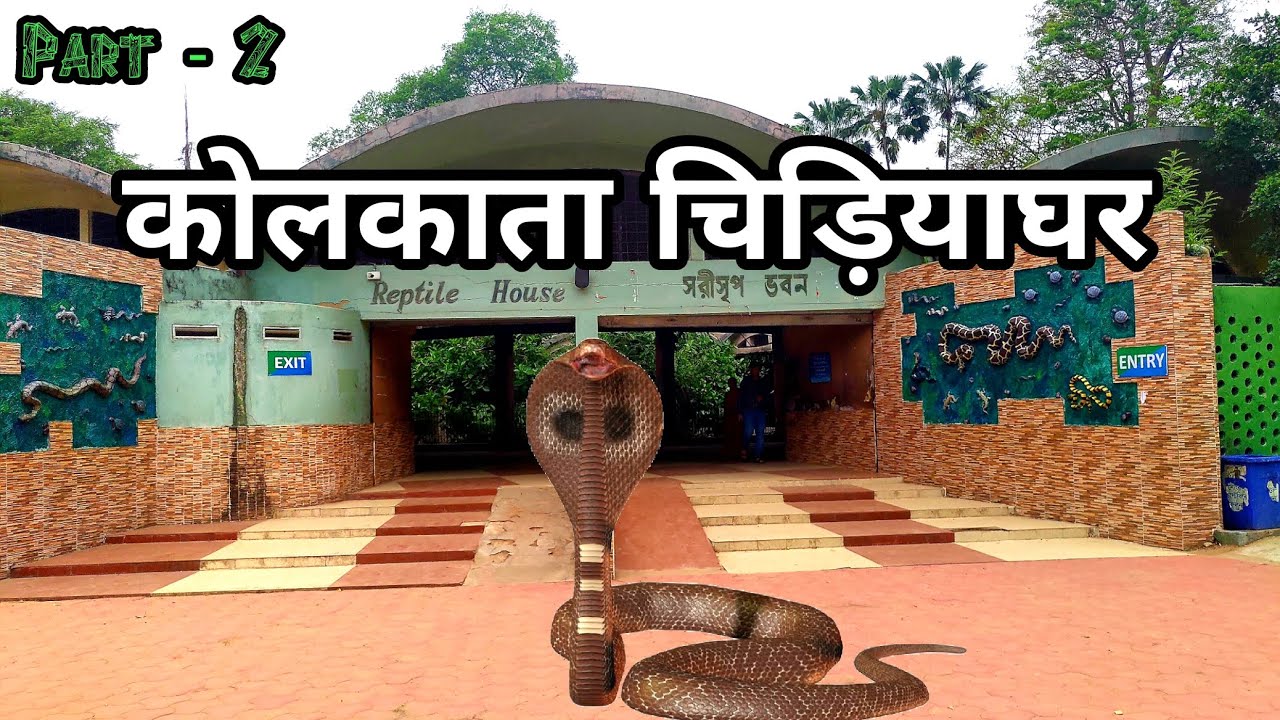 Kolkata Zoo | Reptile House Kolkata Zoo | कोलकाता चिड़ियाघर | Kolkata ...