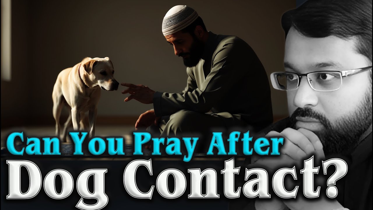 Can I Pray If a Dog Touched Me? | Islamic Fiqh Explained | Shaykh Dr ...