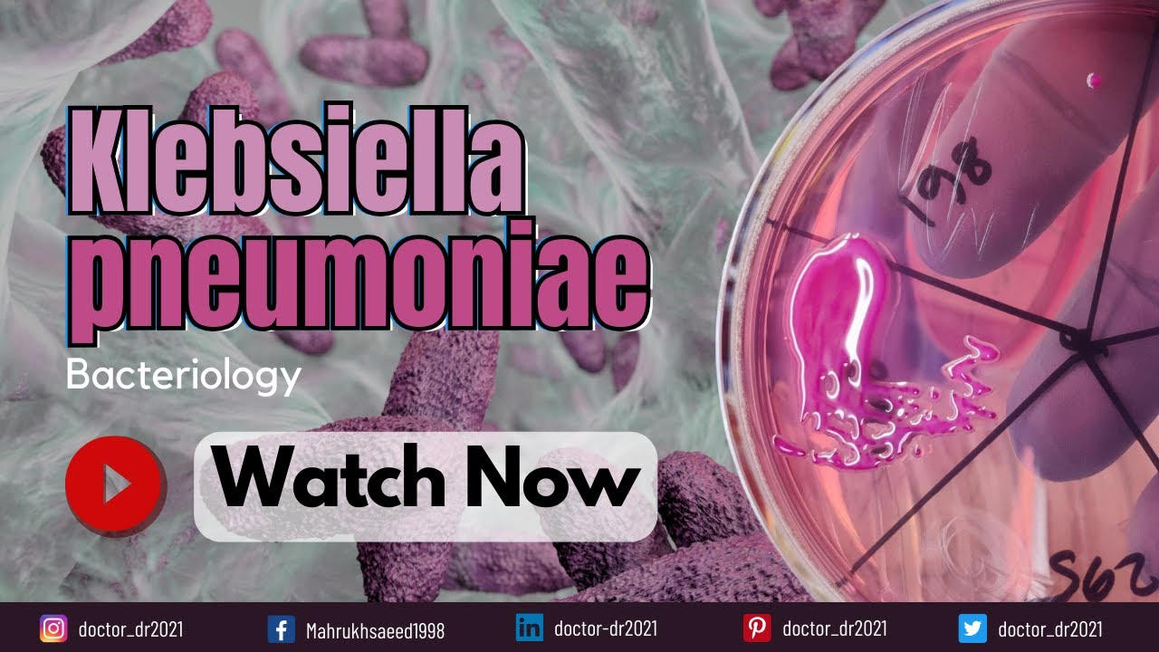 Klebsiella Pneumoniae: Pathogenic Mechanisms, Symptoms, and Treatment ...