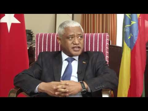 Etiyopya'daki Türk şirketleri ve istatistikler