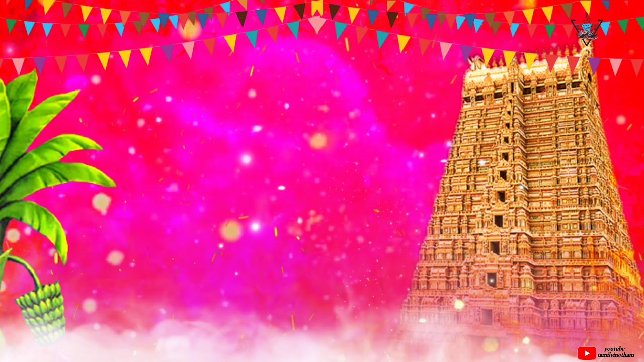 Wedding new background video part 481 tamil vinotham creators - YouTube