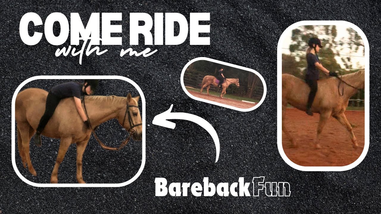 Come Ride With Me!! ️🐴 - YouTube