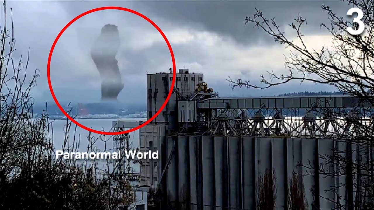 5 recent Giant Monster Creature Sighting Caught on Tape - Paranormal ...