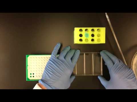 Seq-Well: Bead Loading Video - YouTube