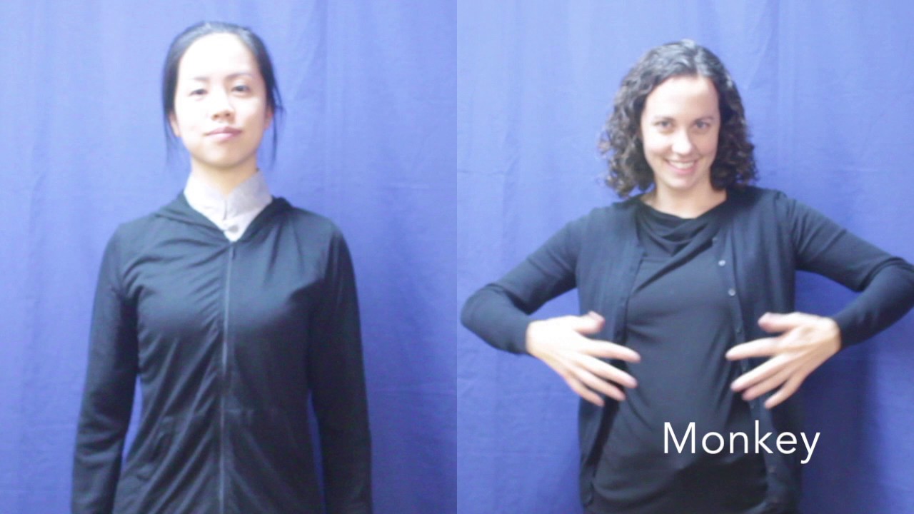 ASL and CSL at Metro Deaf School - YouTube