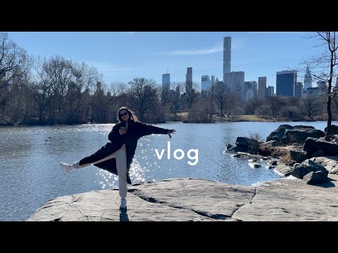 Vlog | New York'ta Kar, Impossible (Vegan) Burger, Chelsea Flea Market & Pace Sanat Galerisi