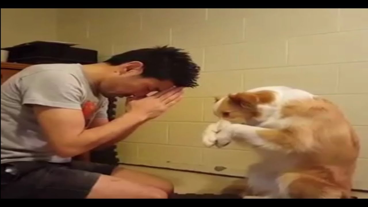 Anjing Terlatih Doa Sebelum Makan - YouTube