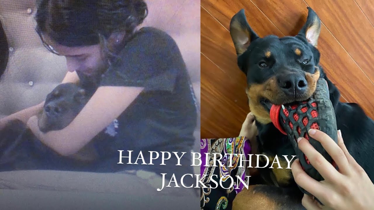 JACKSON HO GAYA 3 SAL KA | Happy birthday Jackson | Mannat Sandhu - YouTube