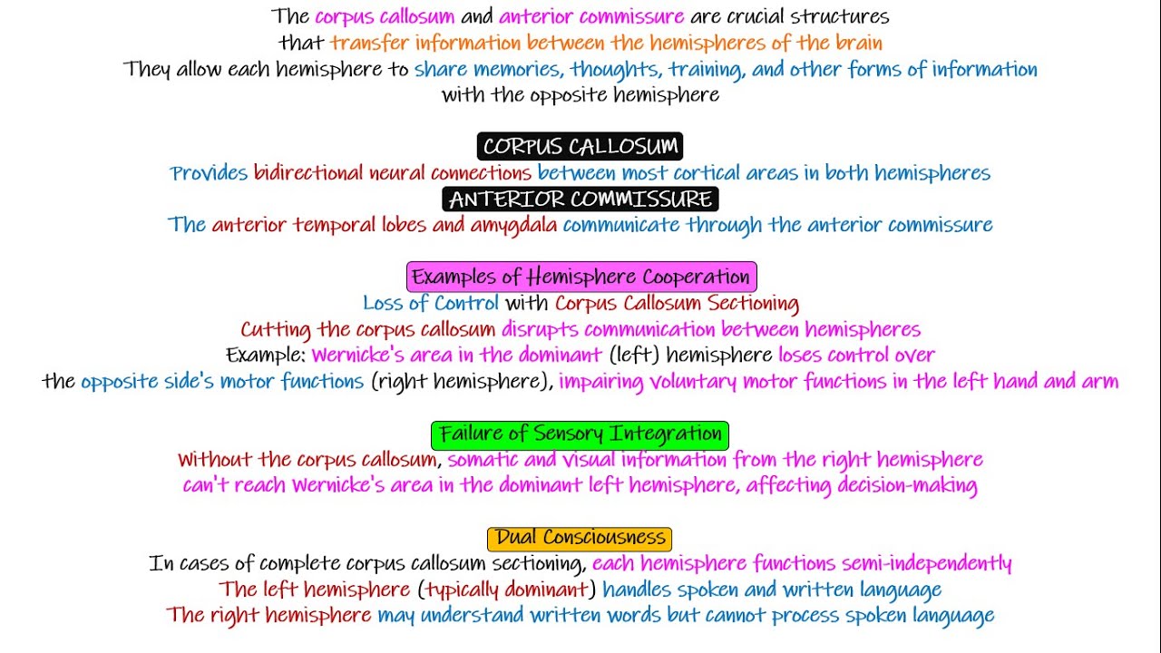 Corpus callosum & Anterior commissure. Chapter 58 part 7. Guyton and ...