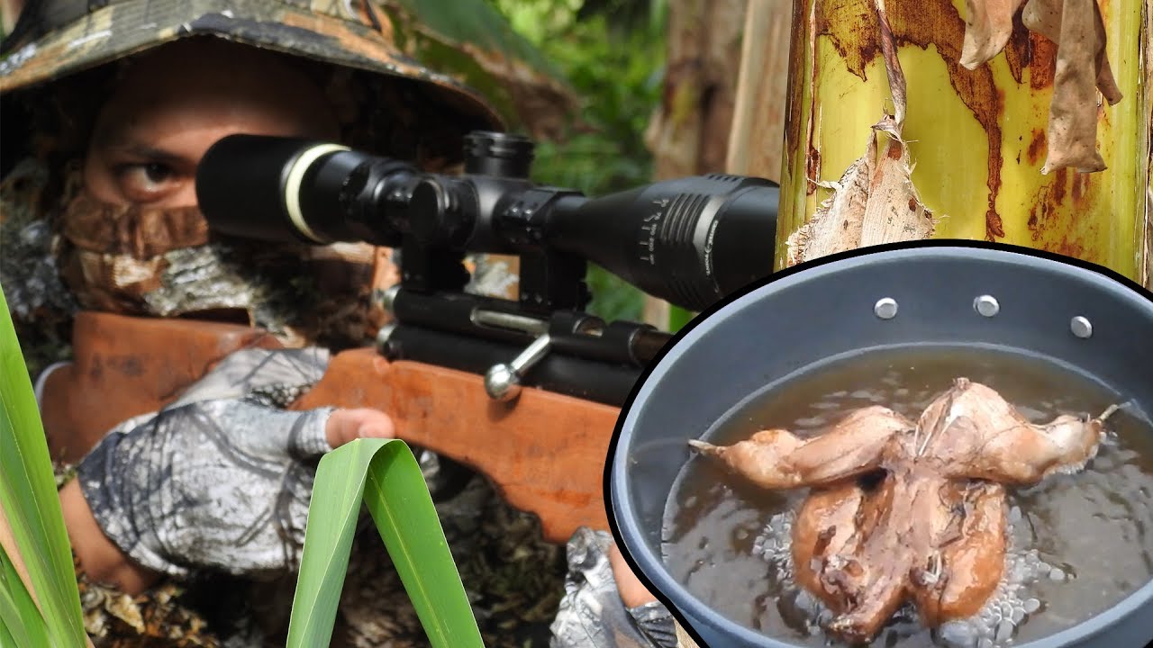 Quail Hunting in the Philippines (DISCOVERY SCOPE) (HUNT-COOK-EAT ...