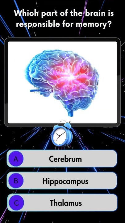 Which Part of the Brain Controls Memory? 🧠 | Fun Brain Quiz - YouTube