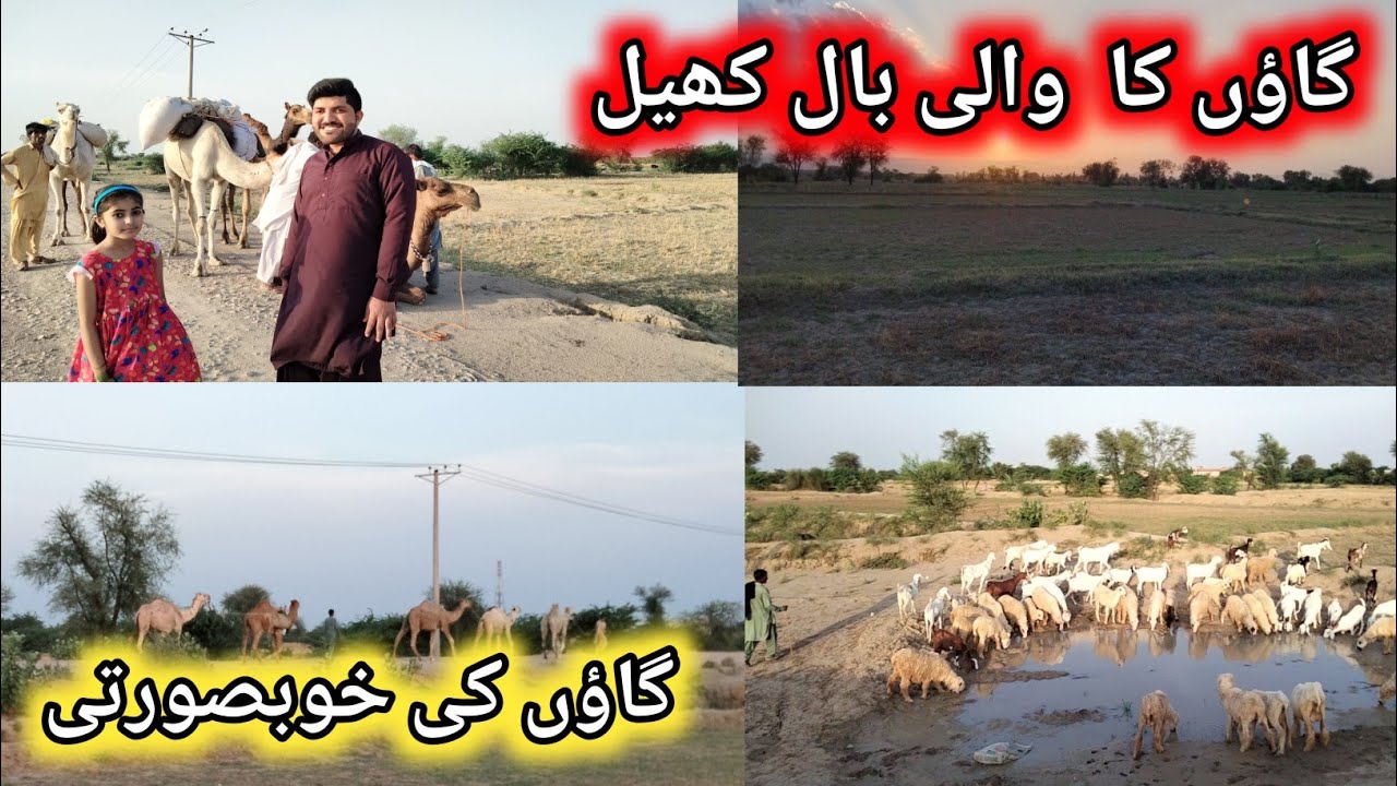 Gaon ka Volleyball Game 🏐 || gaon ke khubsurti 😍 || Umer Sher Vlogs - YouTube