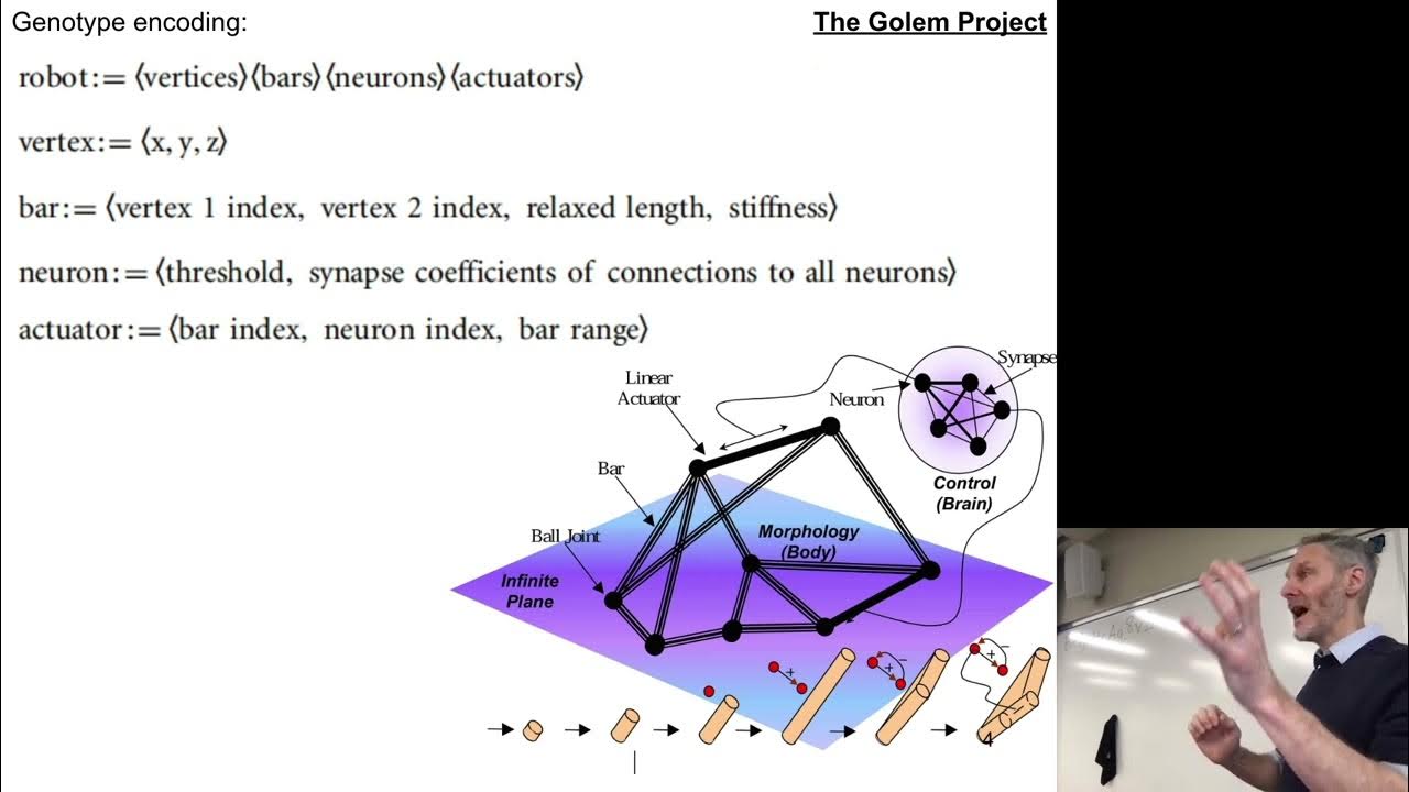 Evolutionary Robotics course. Lecture 19: The GOLEM project. - YouTube