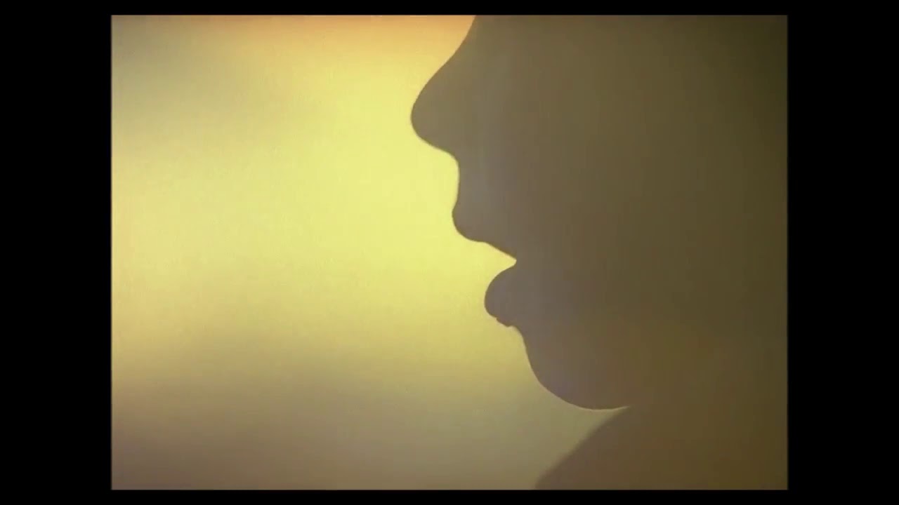 Sunbeam Sound Machine - Hold Me Back (Music Video) - YouTube