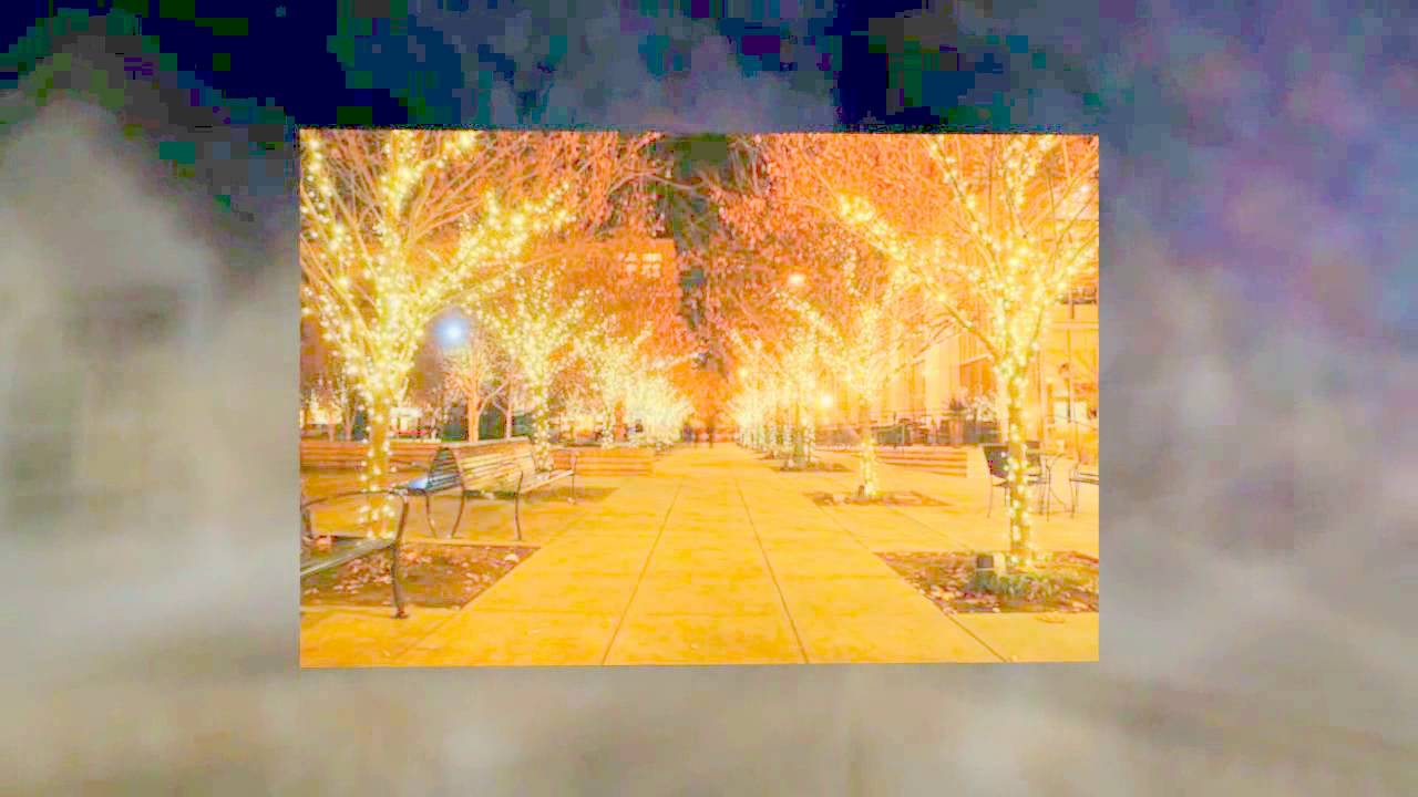 Holiday Light Installation Naperville, Lisle IL | Christmas Light ...