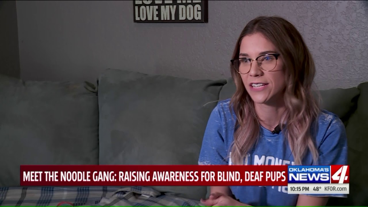 Oklahoma Rescue Group Warns of the Dangers of Breeding Dogs With the ...