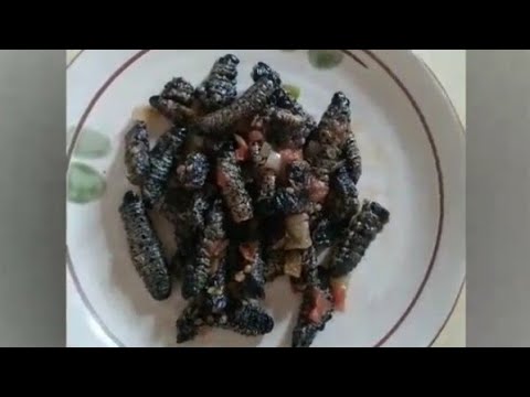 Mopane worms/madora/masonja/macimbi) and pap/sadza - YouTube