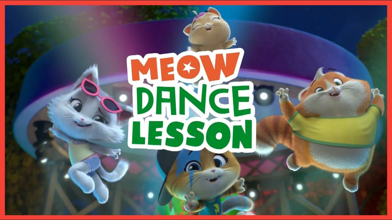 Meow dance lesson | Musical miau | Discovery kids - YouTube