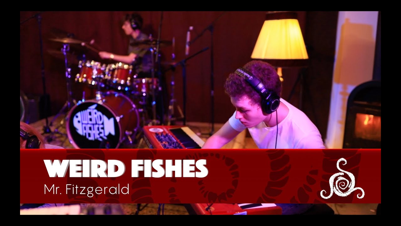 Weird Fishes - Mr. Fitzgerald (Spiral Sessions) - YouTube