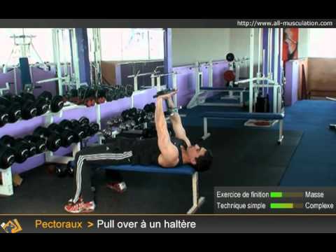 Exercice du pull-over avec une haltère - YouTube