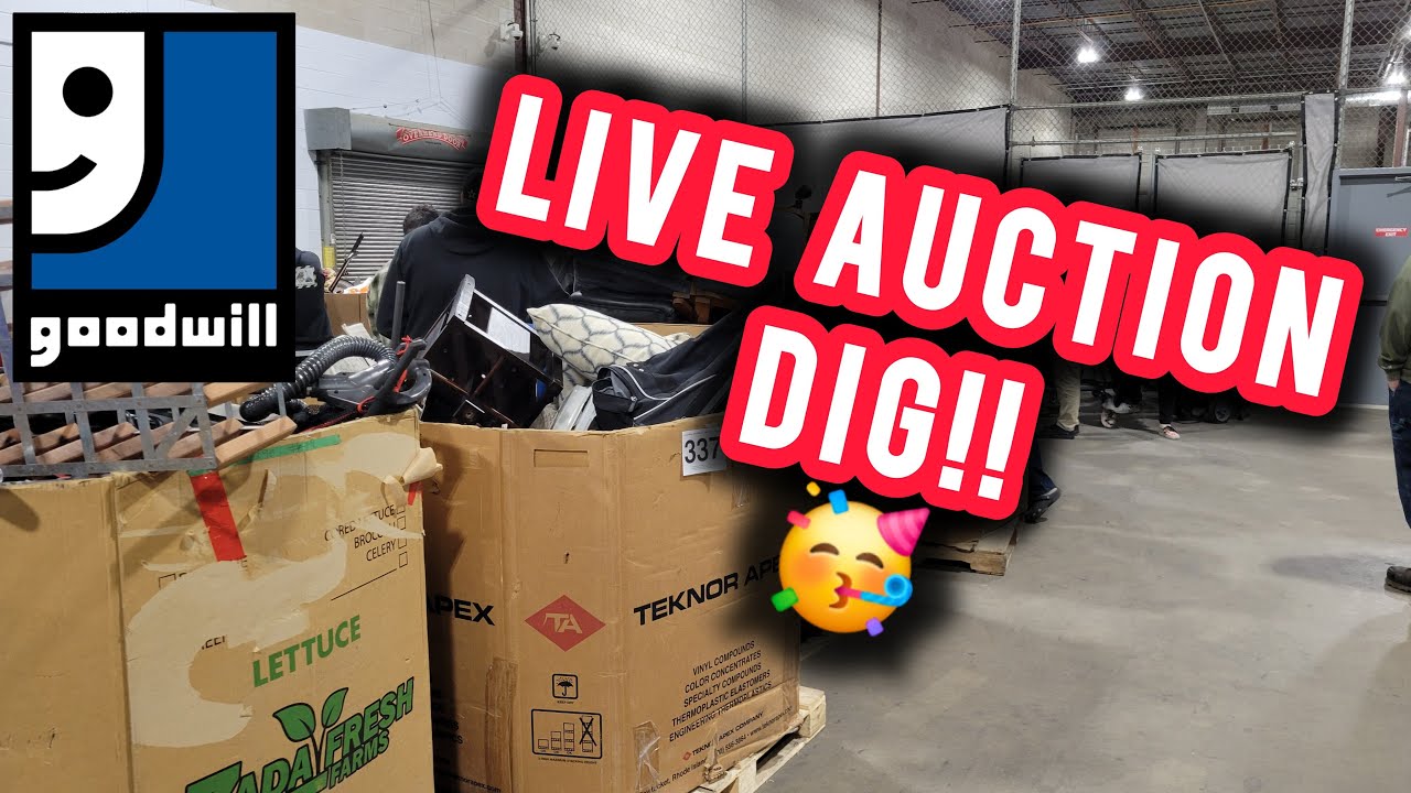 Finding Gold at the Goodwill Auction! - YouTube