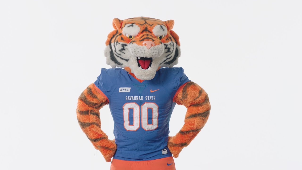 USG COVID19 Video - YouTube