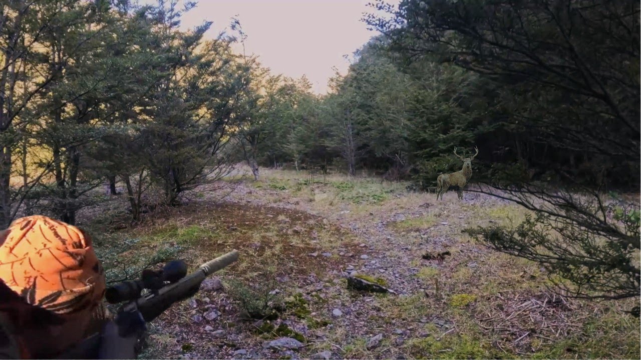 Hunting for a stag (3 day hunting trip) - YouTube