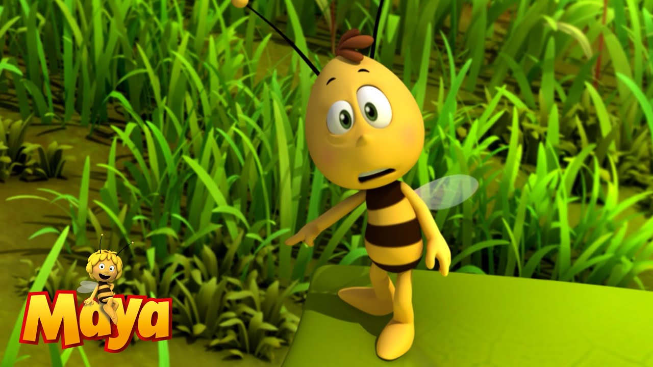 The first flying lesson - Maya the Bee 🌻🌹 - YouTube