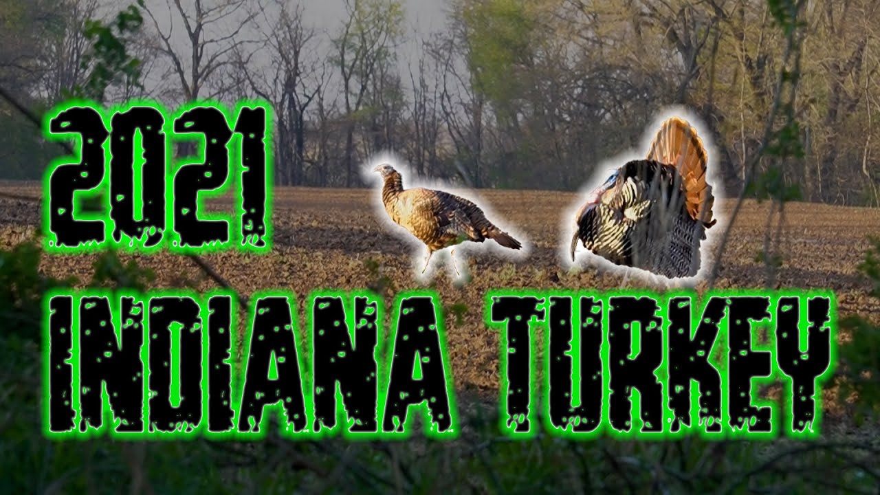 2021 Indiana Turkey - YouTube