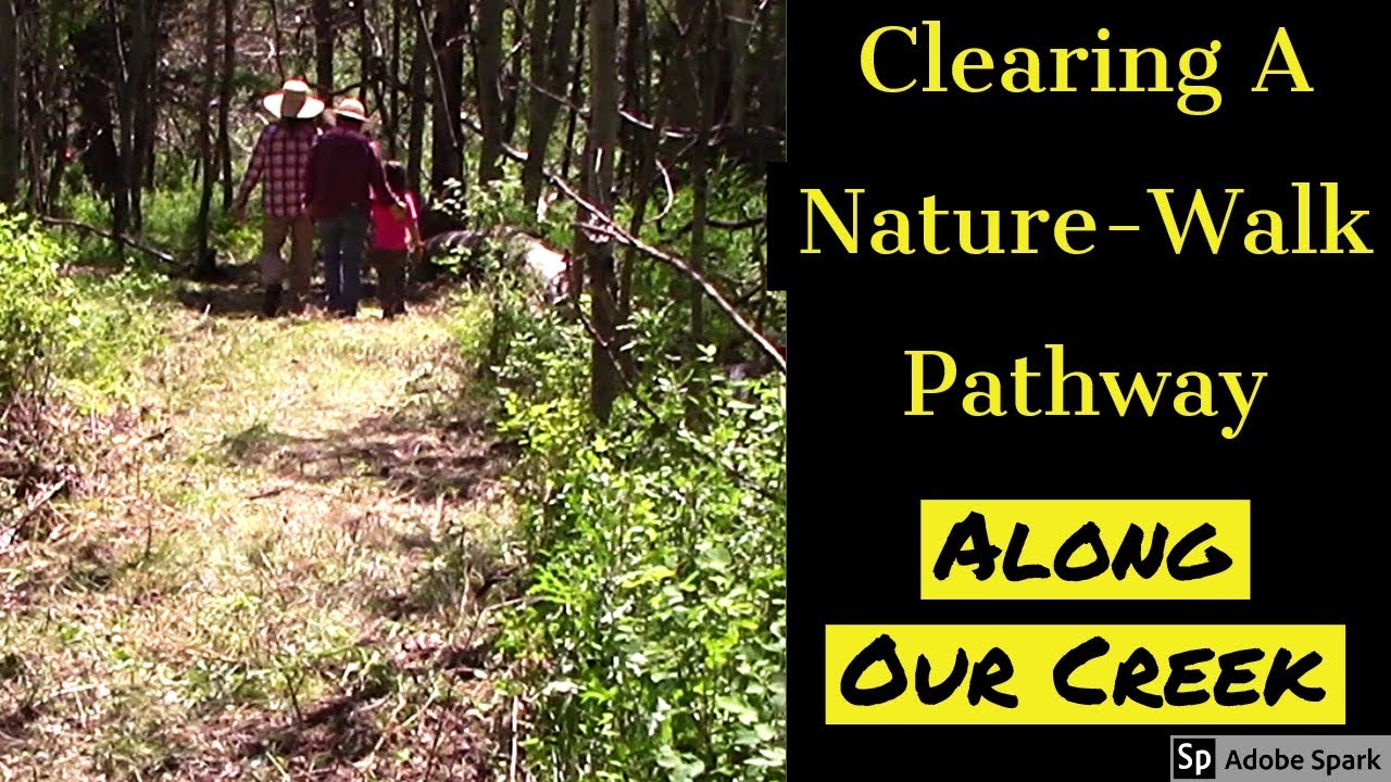 Clearing A Nature-Walk Pathway Along Our Creek. - YouTube