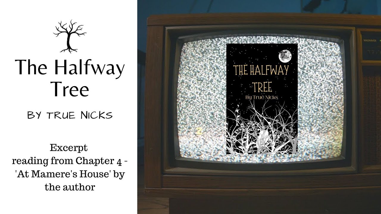 Excerpt reading from Chapter 4, 'At Mamere's House', of 'The Halfway ...