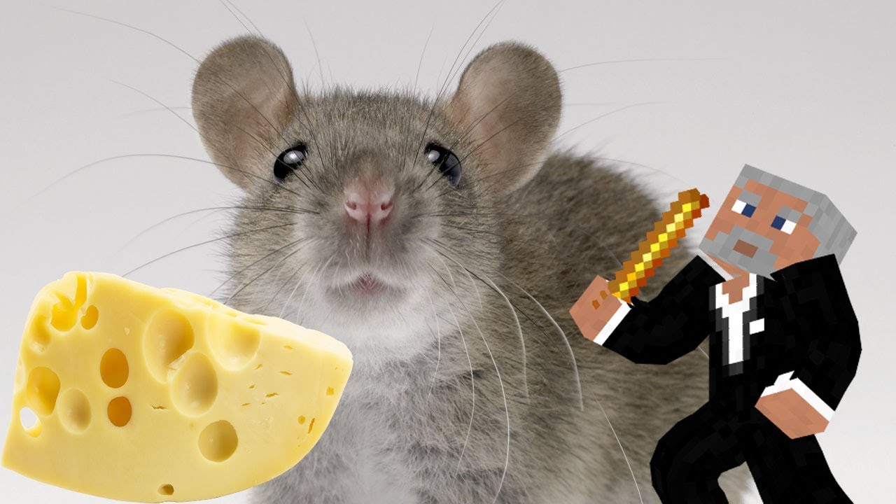 QUESO DE RATA | MINECRAFT - YouTube