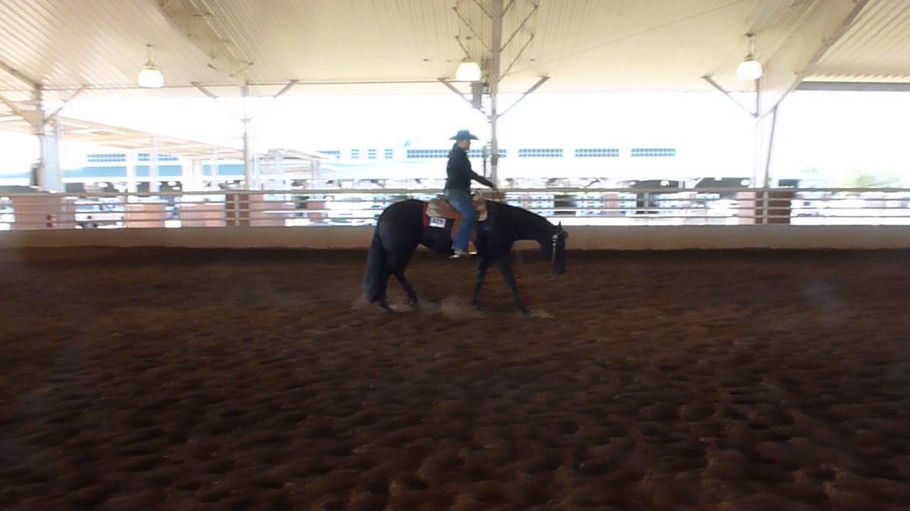 Katallac Invitation AQHA Western Pleasure mare - YouTube