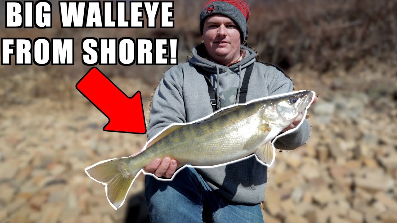 Spring Ohio River Walleye Fishing from SHORE! - YouTube
