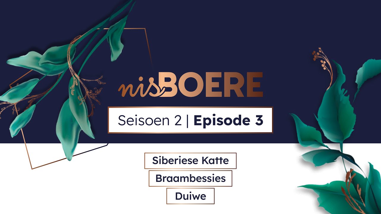 nisBOERE 2 | Episode 3 | Siberiese Katte, Braambessies en Duiwe - YouTube