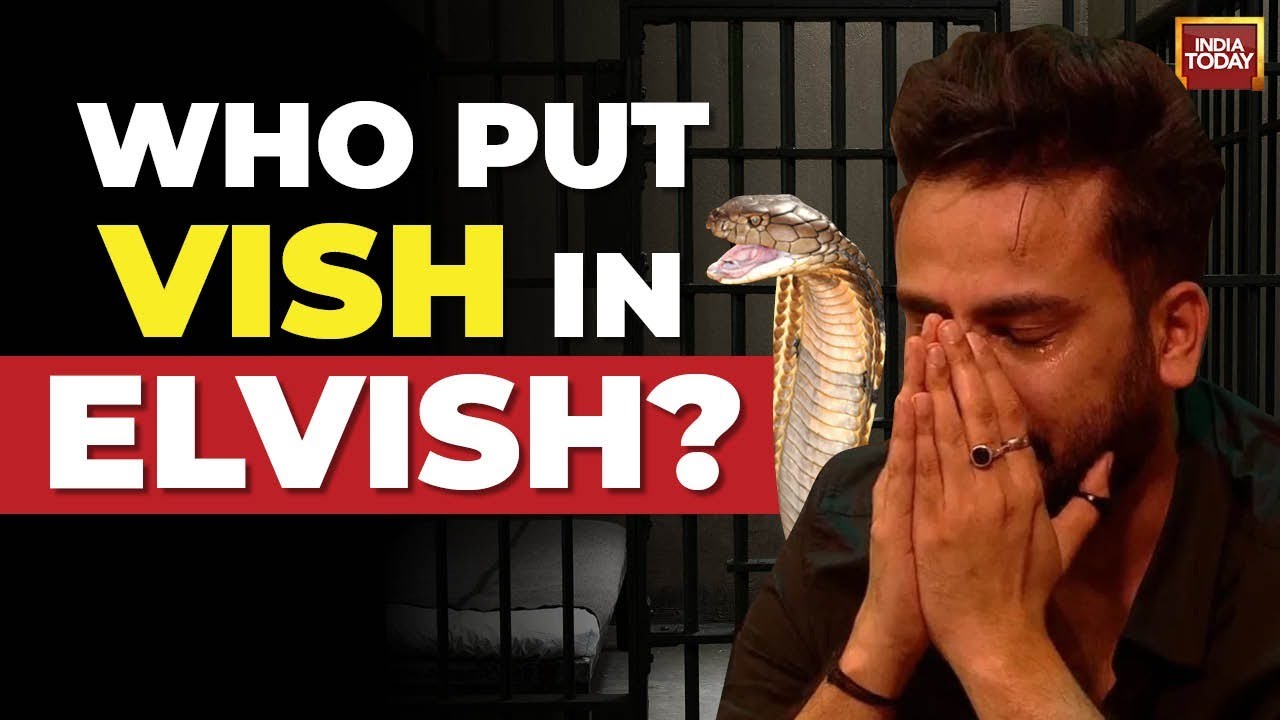 The Real Story Behind Elvish And The Snakes | Elvish Yadav News - YouTube