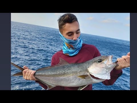 Shore jigging aberjack - YouTube