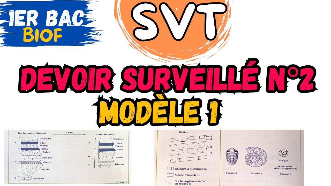 1BAC Biof | SVT | Devoir surveillé N° 2 Semetre 1 | modèle 1 ...