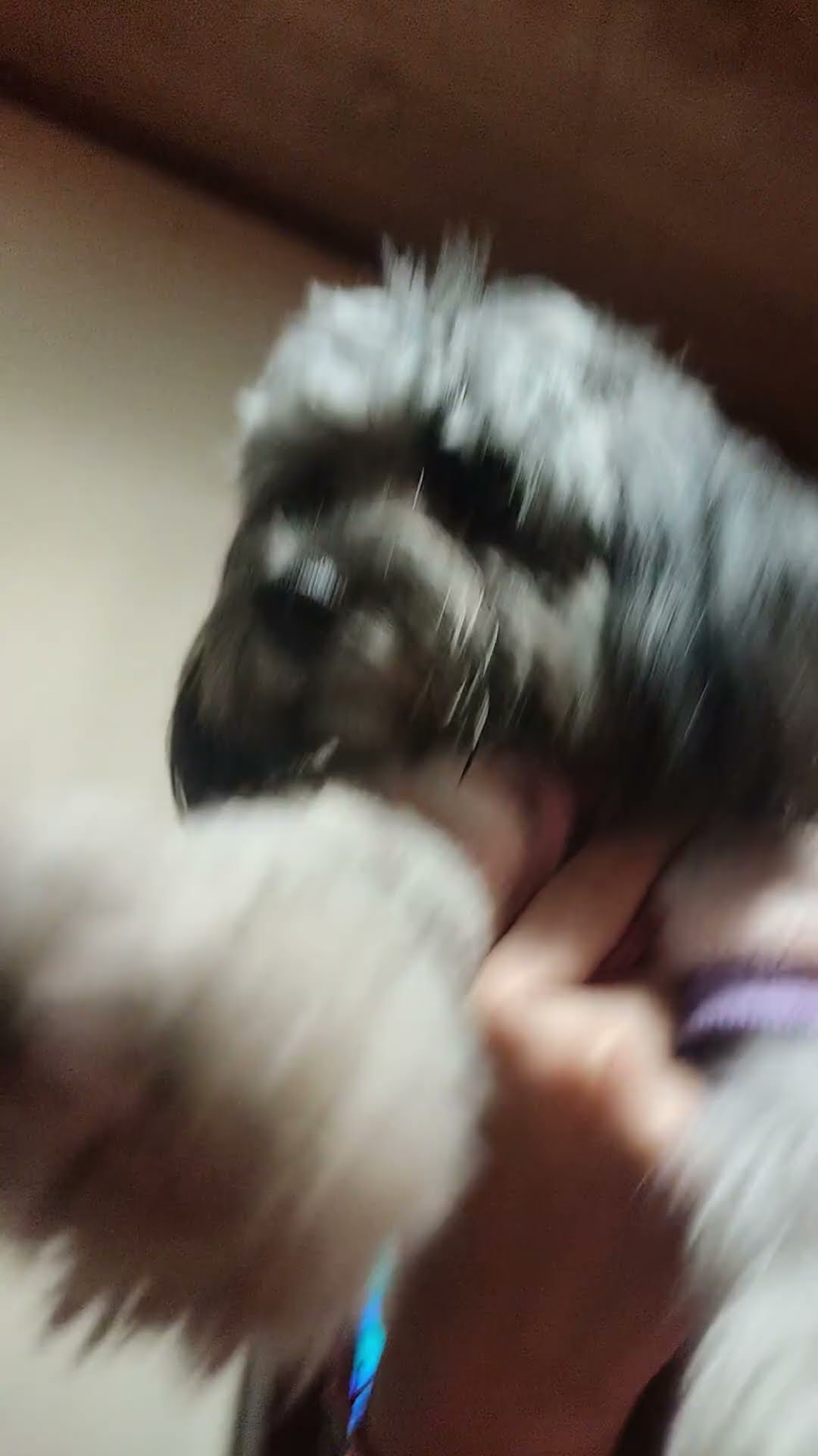 30 de junio de 2024 - YouTube