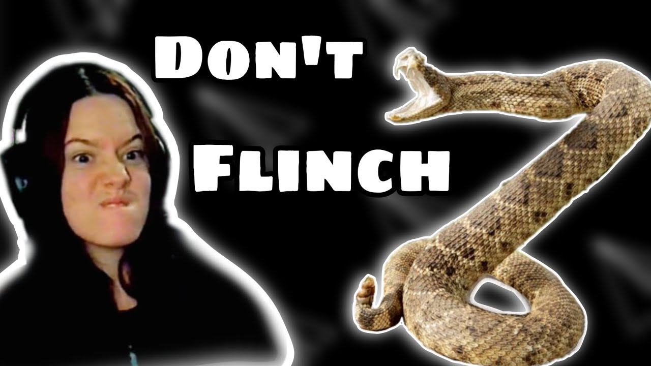 NEW SERIES | Try Not To Flinch | Part 1 - YouTube
