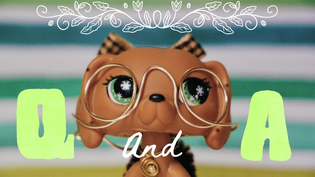 Q & A: (A Look into my lps filming world) - YouTube