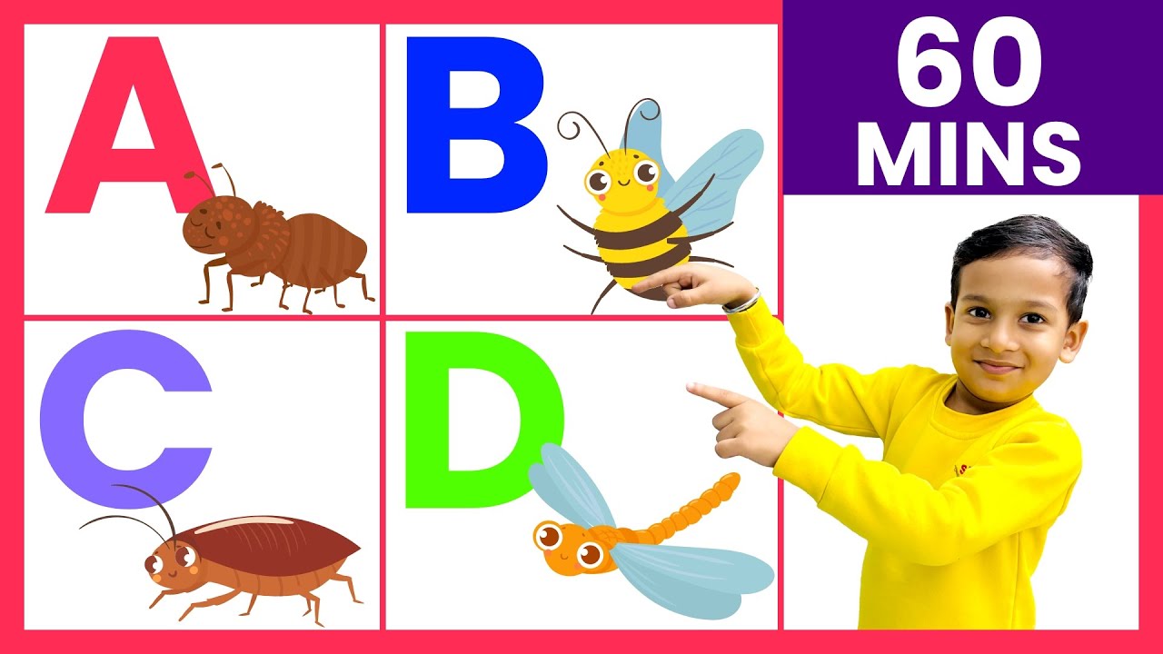 The Bug Boogie Alphabet Song! 🐞 A for Ant, B for Bee – Fun ABC Dance ...