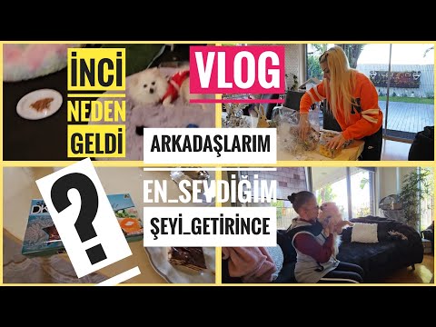 İNCİ NEDEN GERİ GELDİ?  ARKADAŞLARIMLA GÜZEL BİR GÜN! \