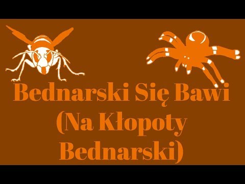 Bug World Production Music: Bednarski Się Bawi (Na Kłopoty Bednarski)